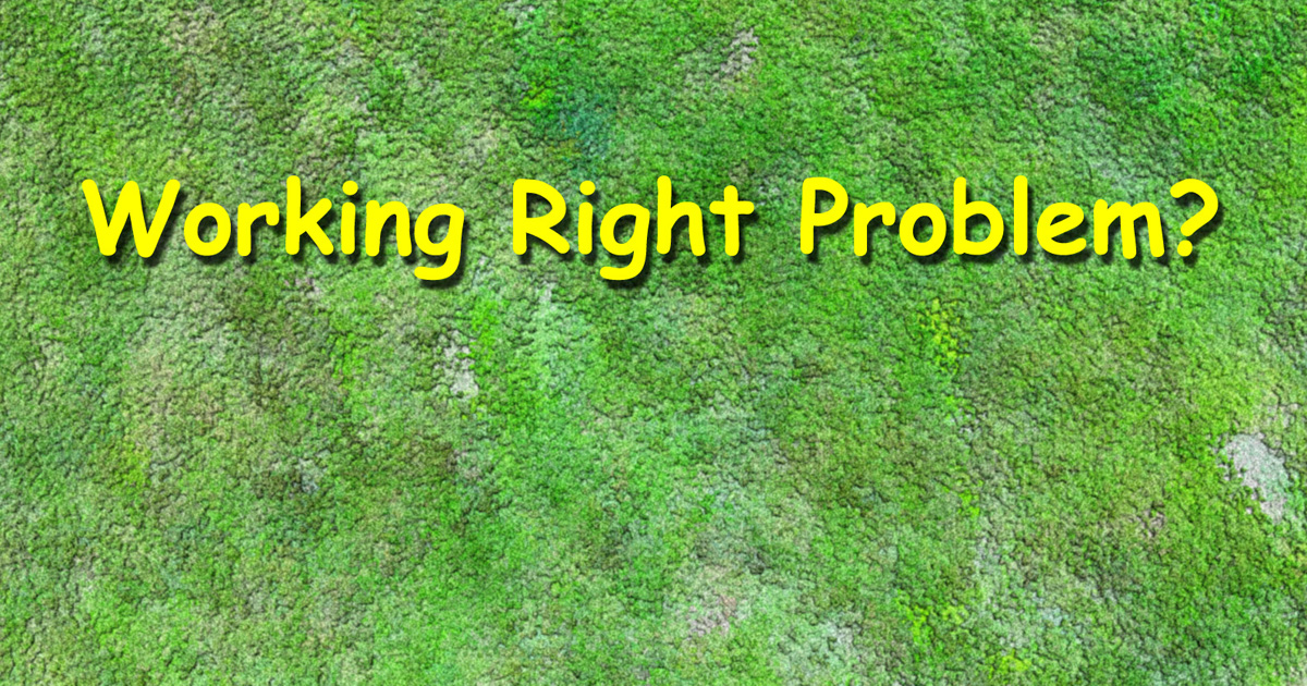 Influencing and Problem Solving for Leaders and Others Finding Right ...